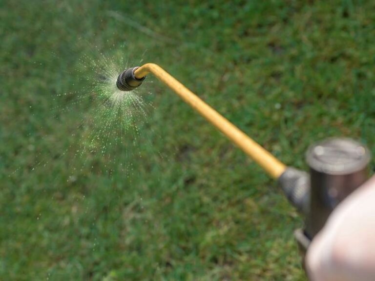 Mosquito Barrier Protection - Champions Pest Control