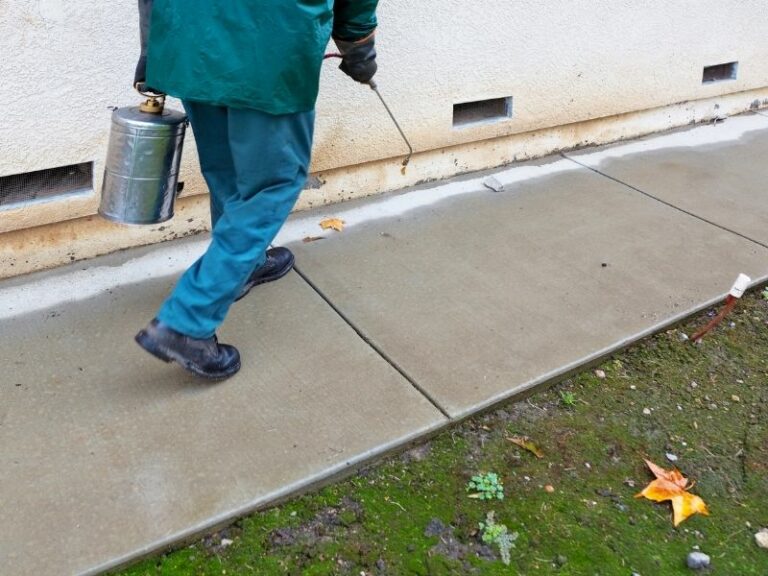 Termidor Liquid Termite Treatment Houston | Champions Pest Control